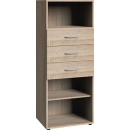 Standregal wimex "Multiraumkonzept", braun (eiche s&auml;gerau, nachbildung), B:40cm H:126cm T:40cm, Holzwerkstoff, Regale, Standregal, planbar und erweiterbar