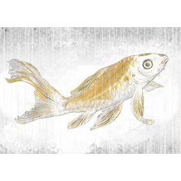 Vliestapete Komar "Digitaldruck Vlies - Golden Koi - Gr&ouml;&szlig;e 400 x 280 cm", grau (gold, grau, wei&szlig;), B:400m L:280m, Vlies, Tapeten, Vliestapete, Wohnzimmer, Schlafzimmer