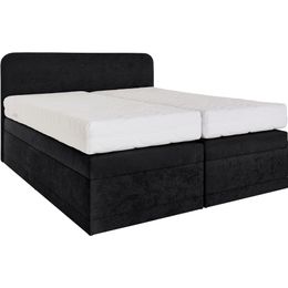 Boxspringbett, schwarz, B:145cm L:212cm, Box und Kopfteil: Microvelours (100% Polyester) oder Kunstleder (Polyurethan);Bezug der Obermatratze: 100% Polyester, Westfalia Schlafkomfort, Komplettbetten, Boxspringbett, wahlweise mit Bettkasten