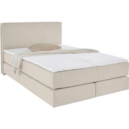 Boxspringbett "Zalia erh&auml;ltlich in verschiedenen Breiten, inkl. Toppper", hellgrau, B:145cm L:217cm, LeGer Home by Lena Gercke, Komplettbetten, Boxspringbett, wahlweise mit Bonnell- oder 7-Zonen-Tonnentaschenfederkern