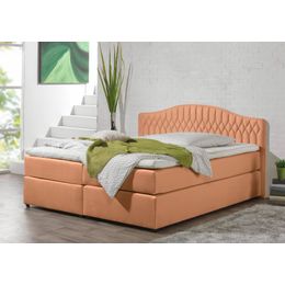 Boxspringbett Maintal, orange (terra), Liegefl&auml;che B/L: 180cm x 200cm, H3, 7-Zonen-Kaltschaummatratze, Seitliche Einfassung Unterbox und Obermatratze: Mikrovelours (100% Polyester);Spiegelfl&auml;che der Unterbox und Obermatratze: 100% Polyester, Komplettbetten, Boxspringbett, in diversen Ausf&uuml;hrungen