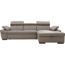 Ecksofa exxpo - SOFA FASHION "Salerno, Funktionssofa, Breite 280cm, hoher Sitzkomfort, L-Form", beige (sahara), B:280cm H:77cm T:170cm, Microfaser-Primabelle (100% Polyester);NaturLEDER;Kunstleder;Lederfaserstoff;Luxus-Microfaser Lederoptik, Sofas, Ecksofa, inkl. Kopf- und Armteilverstellung, wahlweise mit Bettfunktion