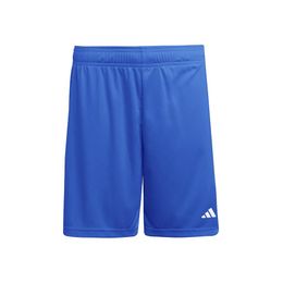 adidas Performance Workout Pants 'Ent26' male Blue size XL
