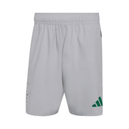 adidas Performance Workout Pants 'Algeria Tiro' male Grey size S