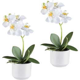Kunstorchidee Creativ green, H:27cm, wei&szlig;, Kunststoff, Kunstpflanzen, "Orchidee Phalaenopsis", mit real-touch-Bl&uuml;ten