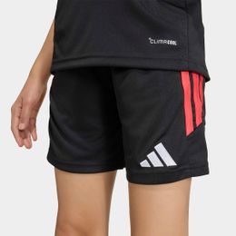 Jungen Trainingsshorts "TIRO26L TRSHOY"schwarz, semi lucid rot, Gr. 164, adidas Performance, Obermaterial: 100% Polyester, Hosen