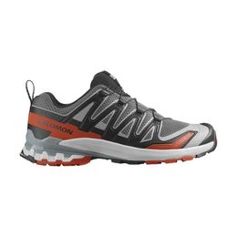 Salomon XA Pro 3D V9 Schuhe Herren grau 46.0