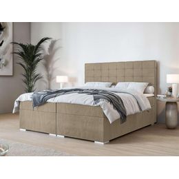 Bett Home Affaire "Semla mit Matratze und Topper, in 3 Breiten (140, 160 und 180 cm)", grau (taupe), B:182cm H:119cm L:209cm, 100% Polyester, Betten, Bett, Boxspringbett mit Kopfteil, Bettkasten, Matratze (BFK/TFK) und Topper
