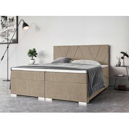 Bett Home Affaire "Liania mit Matratze und Topper, in 2 Breiten (160 und 180 cm)", grau (taupe), B:162cm H:119cm L:209cm, 100% Polyester, Betten, Bett, Boxspringbett mit Bettkasten, Matratze (BFK/TFK) und Topper
