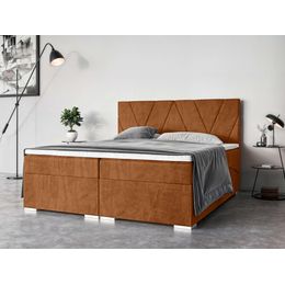 Bett Home Affaire "Liania mit Matratze und Topper, in 2 Breiten (160 und 180 cm)", orange (terra), B:182cm H:119cm L:209cm, 100% Polyester, Betten, Bett, Boxspringbett mit Bettkasten, Matratze (BFK/TFK) und Topper