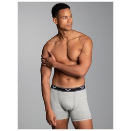 Boxer TRIGEMA "TRIGEMA Bequeme Pants mit Webgummibund", Herren, Gr. XXL, 1 Stk., grau (grau, melange), 95% Baumwolle, 5% Elastan, Unterhosen Boxer