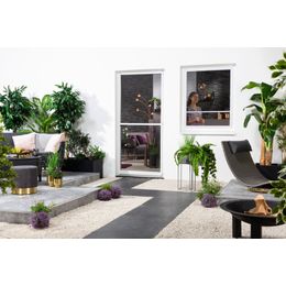 Insektenschutzplissee Hecht INTERNATIONAL "Compact", wei&szlig; (gewebe: schwarz, rahmen: wei&szlig;, wei&szlig;, wei&szlig;), B:150cm H:130cm, Plissees, Insektenschutzplissee, fl&auml;chenversetzt, 130x150 cm, wei&szlig;, k&uuml;rzbar