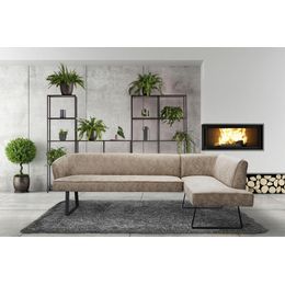 Eckbank exxpo - SOFA FASHION "Americano", braun (cappuccino), B:270cm H:83cm T:197cm, Sitzb&auml;nke, Eckbank, mit Keder und Metallf&uuml;&szlig;en, Bezug in verschiedenen Qualit&auml;ten