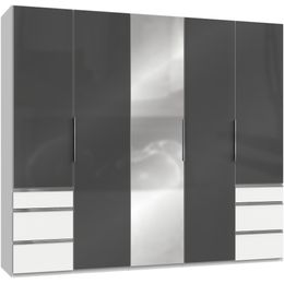Kleiderschrank wimex "Level by fresh to go", wei&szlig; (wei&szlig;, grauglas), B:250cm H:216cm T:58cm, Schr&auml;nke, Kleiderschrank, mit Glas-und Spiegelt&uuml;ren