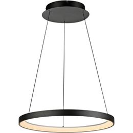 Paul Neuhaus Pendelleuchte "HOOP", schwarz, 1, &Oslash; 57cm H: 4cm, 1 Stk., Leuchten, LED, dimmbar, Simply Dim, Memory, nach Trennung vom Netz, Comfort Lift, Pendelleuchte