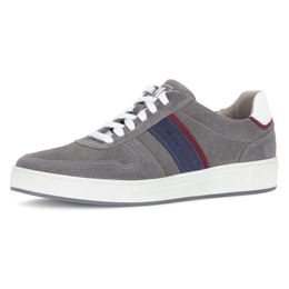 Sneaker Pius Gabor, Herren, Gr. 10,5 (45), grau (grau kombiniert), Veloursleder, Schuhe Sneaker, Freizeitschuh, Halbschuh, Schn&uuml;rer mit Kontrastbes&auml;tze, Weite G