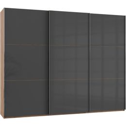 Schwebet&uuml;renschrank wimex "Level by fresh to go", grau (plankeneichefarben, grauglas), B:300cm H:236cm T:65cm, Schr&auml;nke, Schwebet&uuml;renschrank, mit Glast&uuml;ren