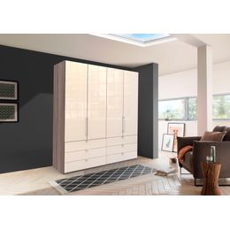 Faltt&uuml;renschrank Wiemann "Loft, Kleiderschrank, Schrank, W&auml;scheschrank, mit Glasfront", beige (tr&uuml;ffeleichefarben, magnolie glas), B:200cm H:216cm T:58cm, Schr&auml;nke, Faltt&uuml;renschrank, inkl. gep&auml;mpften Schubk&auml;sten und T&uuml;ren, mit Panorama&ouml;ffnung