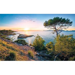 Vliestapete Komar "Digitaldruck Vlies - Southern Light - Gr&ouml;&szlig;e 400 x 250 cm", bunt, B:400m L:250m, Vlies, Tapeten, Vliestapete, Wohnzimmer, Schlafzimmer