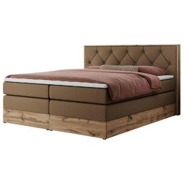 M&ouml;bel Kraft Boxspringbett mit Bettkasten braun Ma&szlig;e (cm): B: 188 H: 115 &raquo; M&ouml;bel Kraft