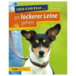 Jeder Hund kann an lockerer Leine gehen