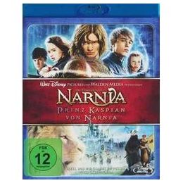 Die Chroniken von Narnia - Prinz Kaspian von Narnia