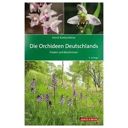Die Orchideen Deutschlands
