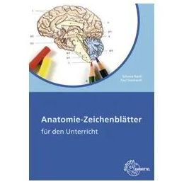 Anatomie Zeichenbl&auml;tter