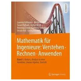 Springer Mathematik f&uuml;r Ingenieure: Verstehen &ndash; Rechnen &ndash; Anwenden