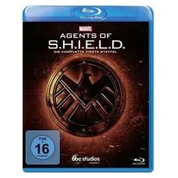 Marvel's Agents of S.H.I.E.L.D. - Staffel 4 [5 BRs]