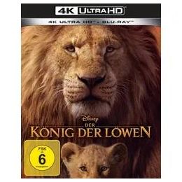 Der K&ouml;nig der L&ouml;wen (4K Ultra HD) (+ Blu-ray 2D)