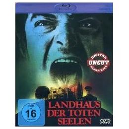 Landhaus der toten Seelen - Uncut