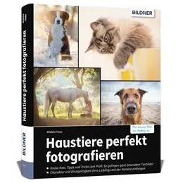 Haustiere perfekt fotografieren