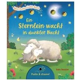 Mein Puste-Licht-Buch: Ein Sternlein wacht in dunkler Nacht
