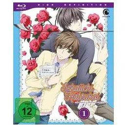 Sekaiichi Hatsukoi - The World's Greatest First Love - Vol. 1
