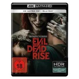 Evil Dead Rise (+ Blu-ray)