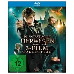 Phantastische Tierwesen 3-Film Collection [3 BRs]