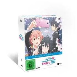 My Teen Romantic Comedy SNAFU Climax! Vol.1