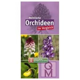 Heimische Orchideen