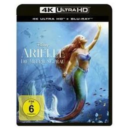 Arielle, die Meerjungfrau (4K Ultra HD) (+ Blu-ray)