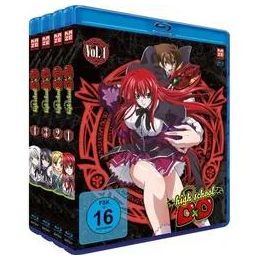Highschool DxD - Blu-ray Gesamtausgabe ohne Schuber [4 BRs]