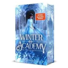 Winter Academy. Die Erbin des Mondsteins