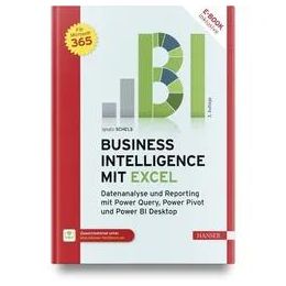 Business Intelligence mit Excel