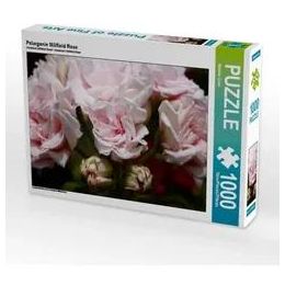 Calvendo Pelargonie Millfield Rose (Puzzle)