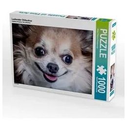 Calvendo Lachender Chihuahua (Puzzle)