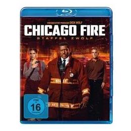 Universal Chicago Fire - Staffel 12 [3 BRs]