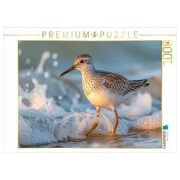 Calvendo Puzzle Strandl&auml;ufer, mit forschem Blick auf Nahrungssuche 1000 Teile Lege-Gr&ouml;&szlig;e 64x48cm Foto-Puzzle f&uuml;r gl&uuml;ckliche Stunden