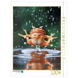 Calvendo Puzzle Glaube an dich selbst, so wie ein Frosch glaubt, dass er fliegen kann 1000 Teile Lege-Gr&ouml;&szlig;e 64x48cm Foto-Puzzle f&uuml;r gl&uuml;ckliche Stund