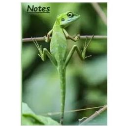Notizbuch A5 dotted [Lizard - Eidechse] Softcover von Daily Paper Design 80 Seiten als Tagebuch, Bullet Journal, Notizheft & aus nachhaltiger