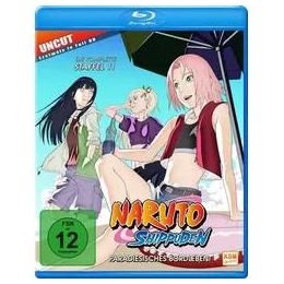 KSM Anime Naruto Shippuden - Staffel 11 - Uncut